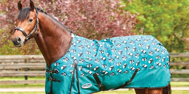 A Beginner's Guide to Rain Sheets for Horses | Interesting Facts