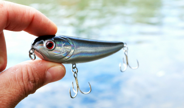 Saltwater Fishing Lures: A Beginner’s Guide | Interesting Facts