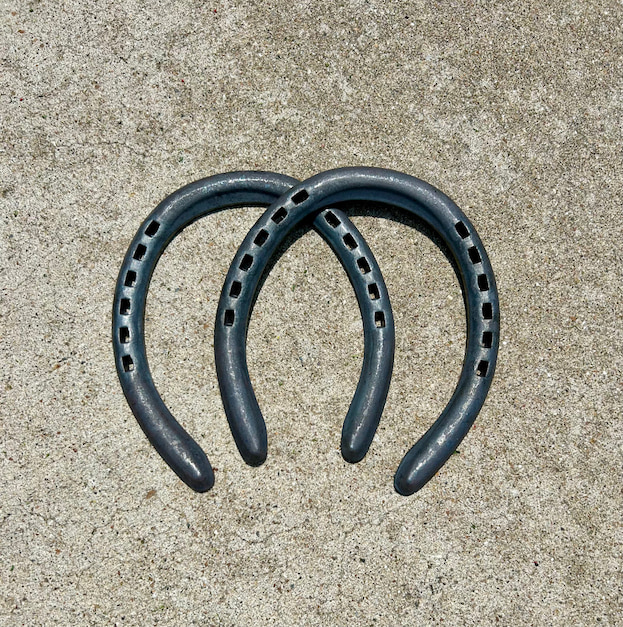 Horseshoes: Types, Benefits and Buying Considerations | Interesting Facts